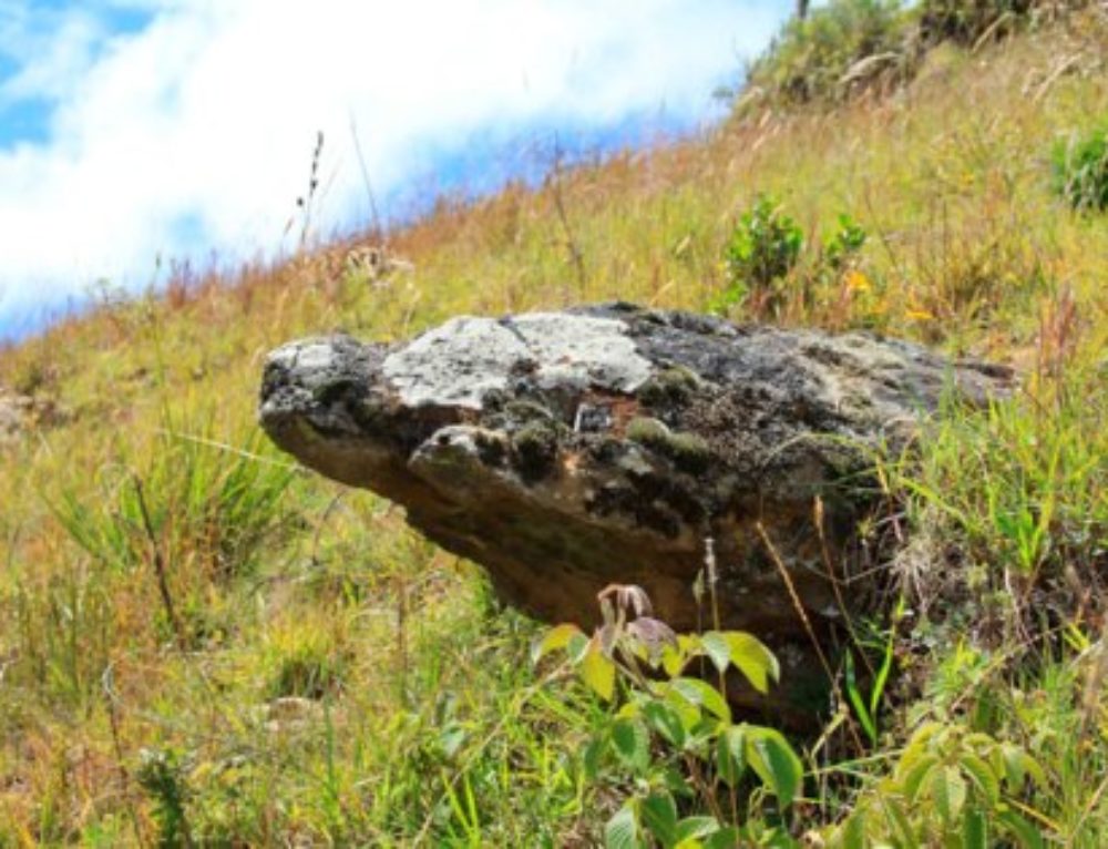 Cerro Cabeza de Perro | Municipio de Paute